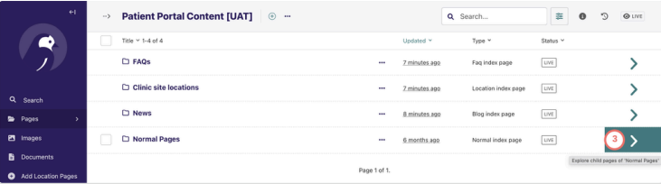 Image: The four types of pages used in the Patient Portal